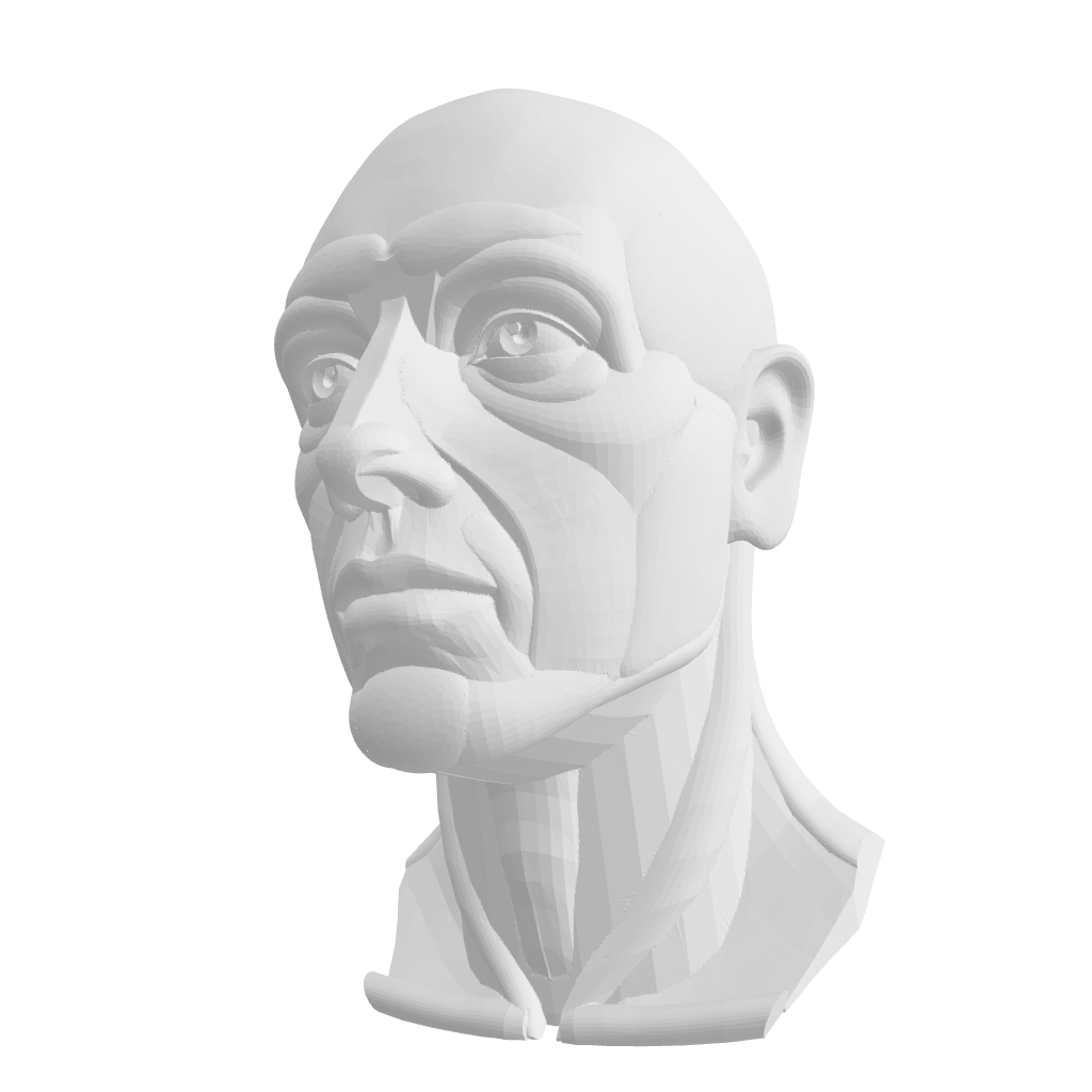 Head 3d model